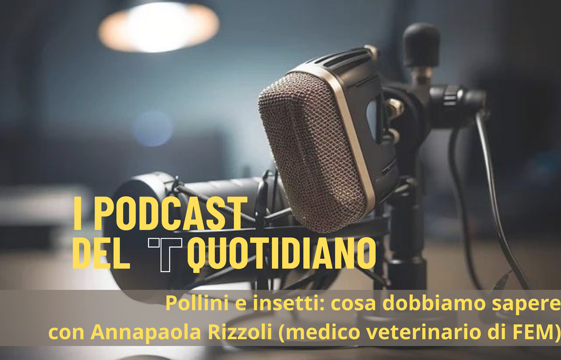 Pollini e insetti: cosa dobbiamo sapere (ep.10)