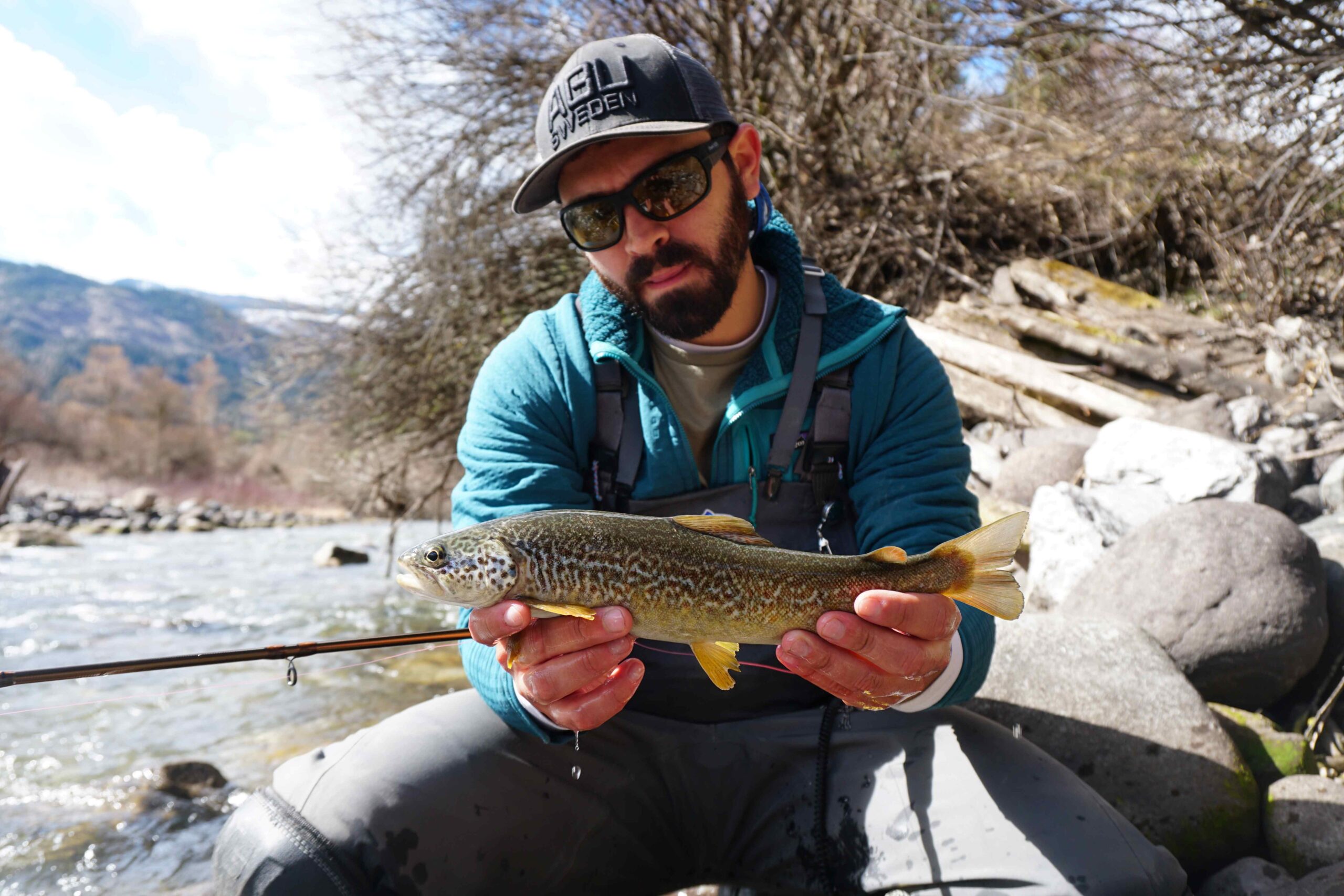 Da tutta Italia alla Val di Cembra per studiare la trota Marmorata. I ...