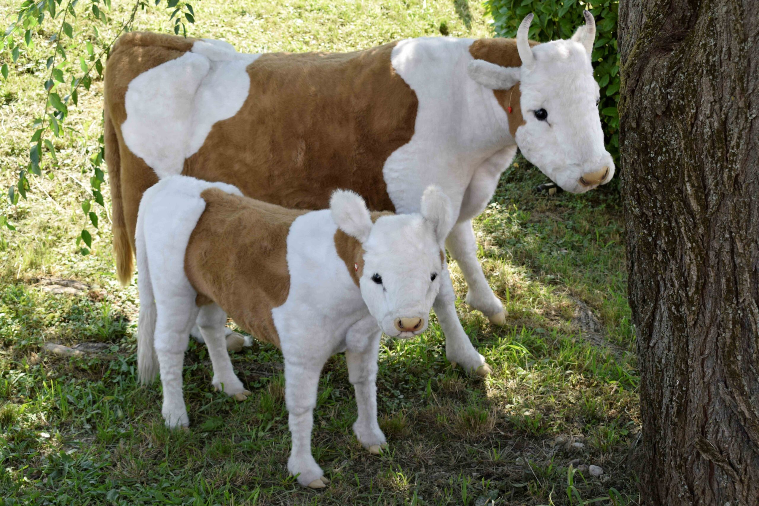 All’asta una mucca e il suo vitellino: dimensioni naturali ma sono dei ...