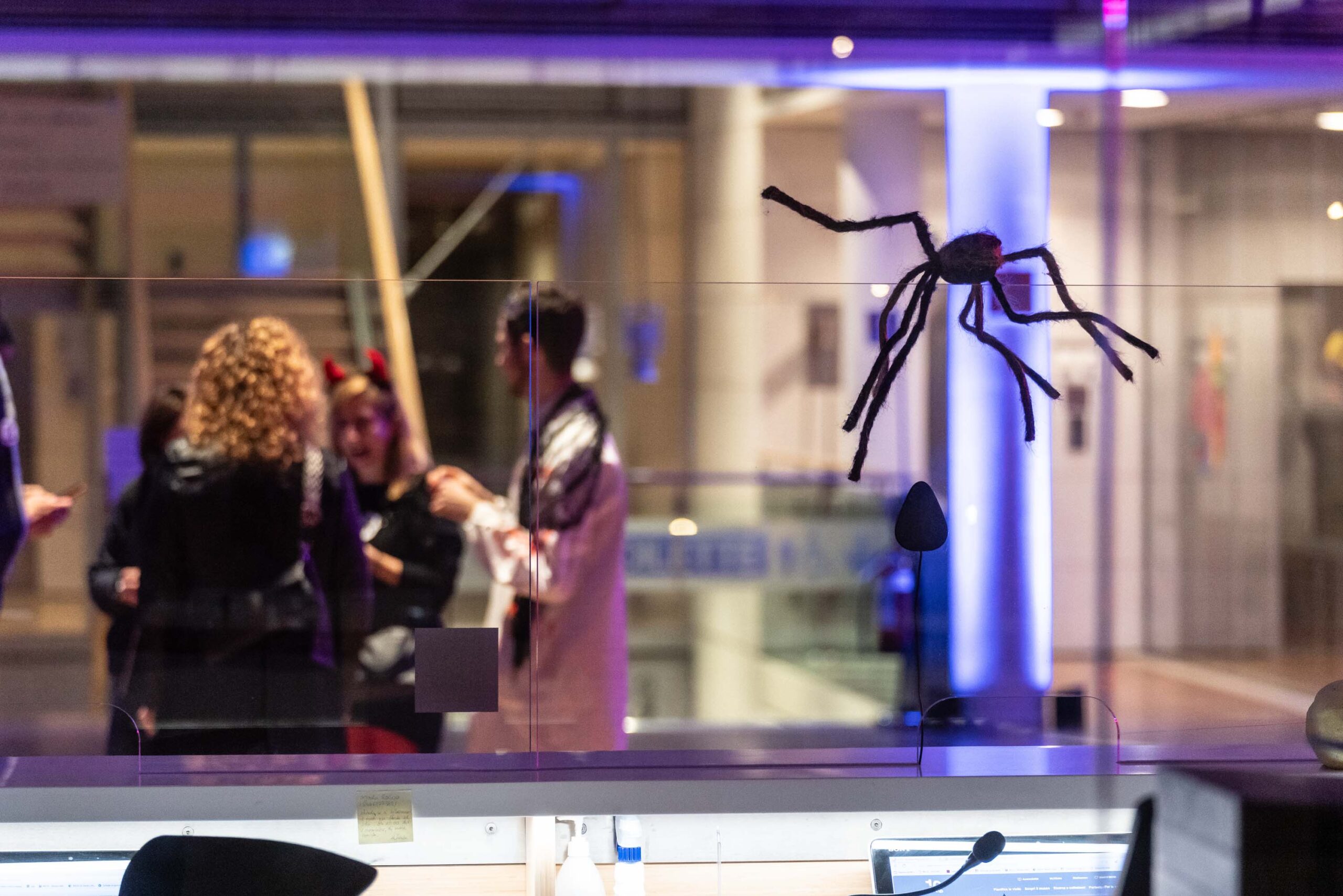 Allocchi, volpi e pipistrelli. Una visita da paura al Muse per ...