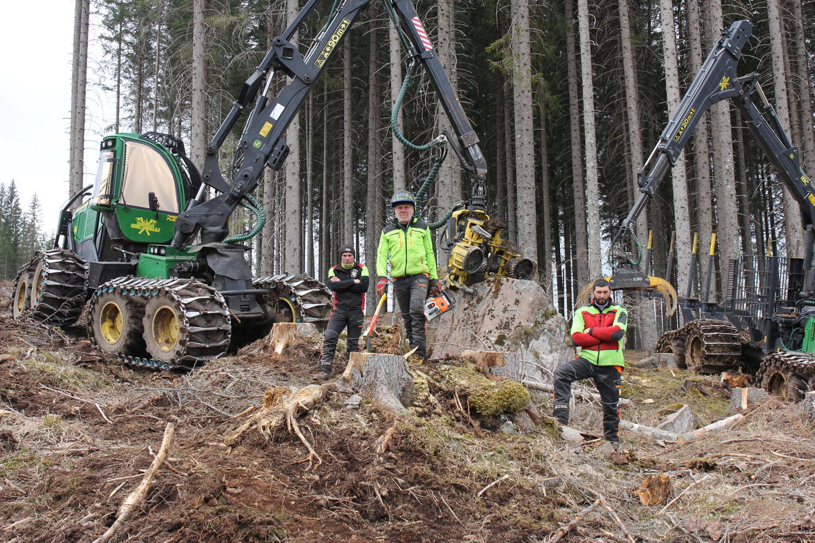 I boscaioli trentini tornano su DMAX con «Undercut: l’oro di legno»