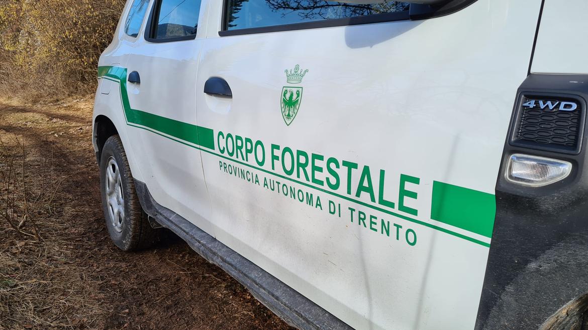 Spray anti-orso, approvate le regole di utilizzo il corpo forestale ...