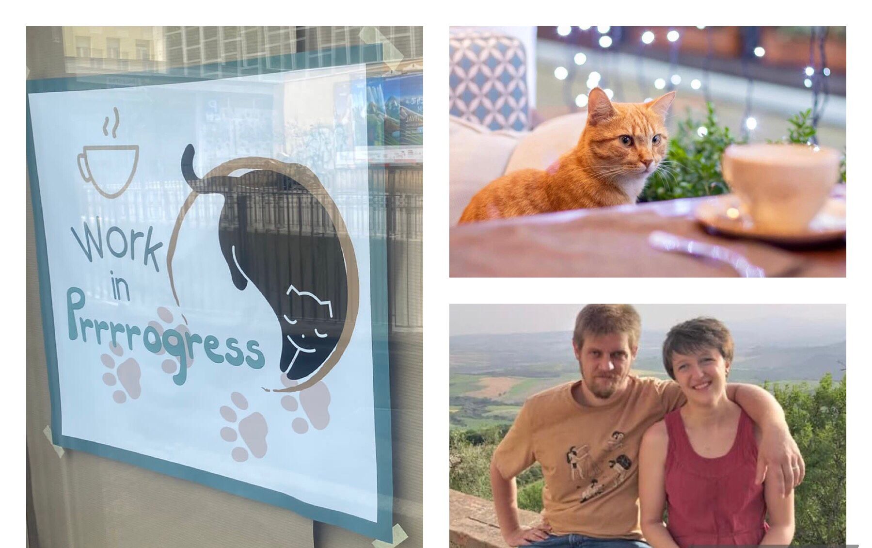 Arriva a Trento il primo «Cat Cafè» della regione: gatti (e fusa ...