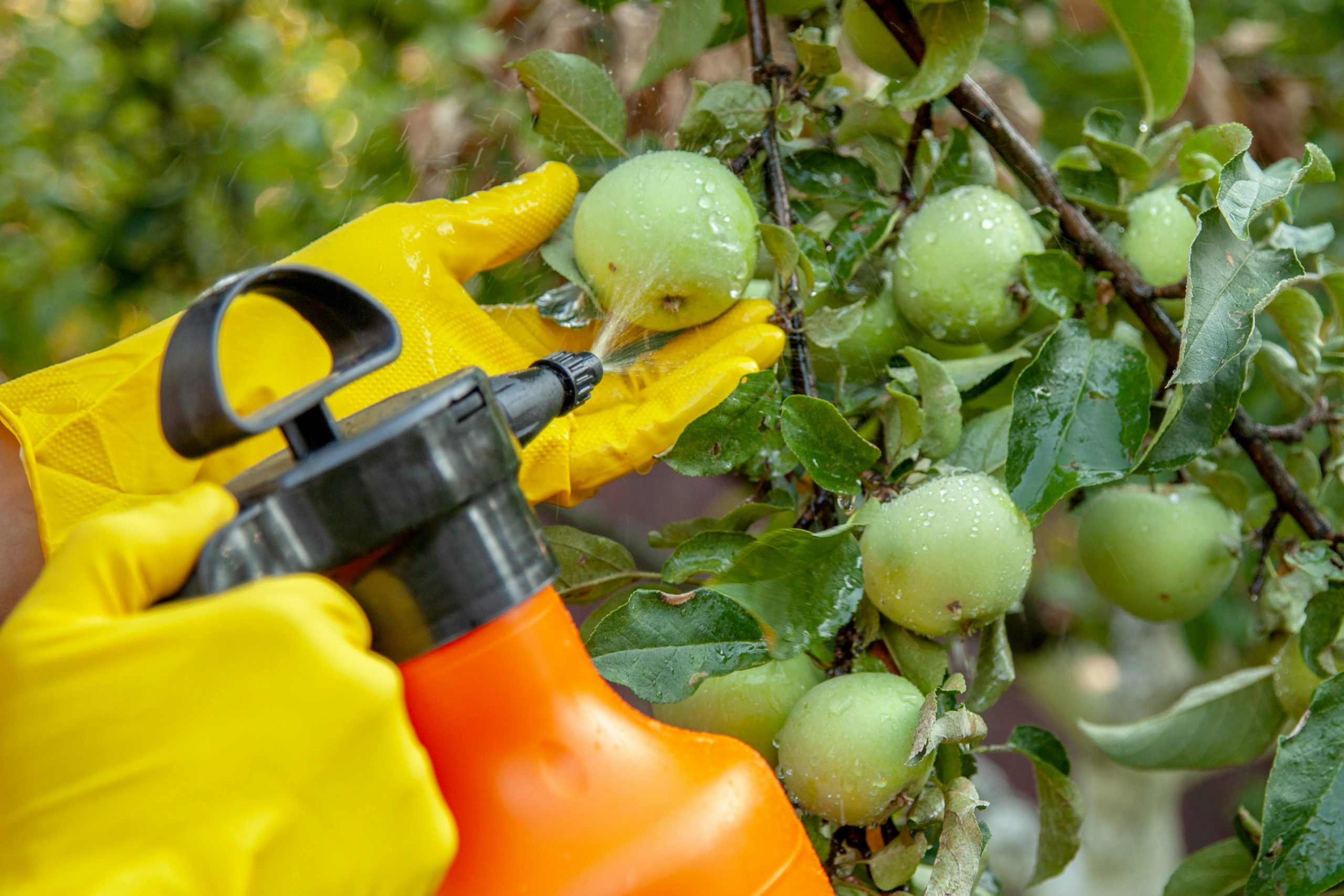 L’ombra dei pesticidi in Alto Adige, secondo i dati «irrorazioni ...
