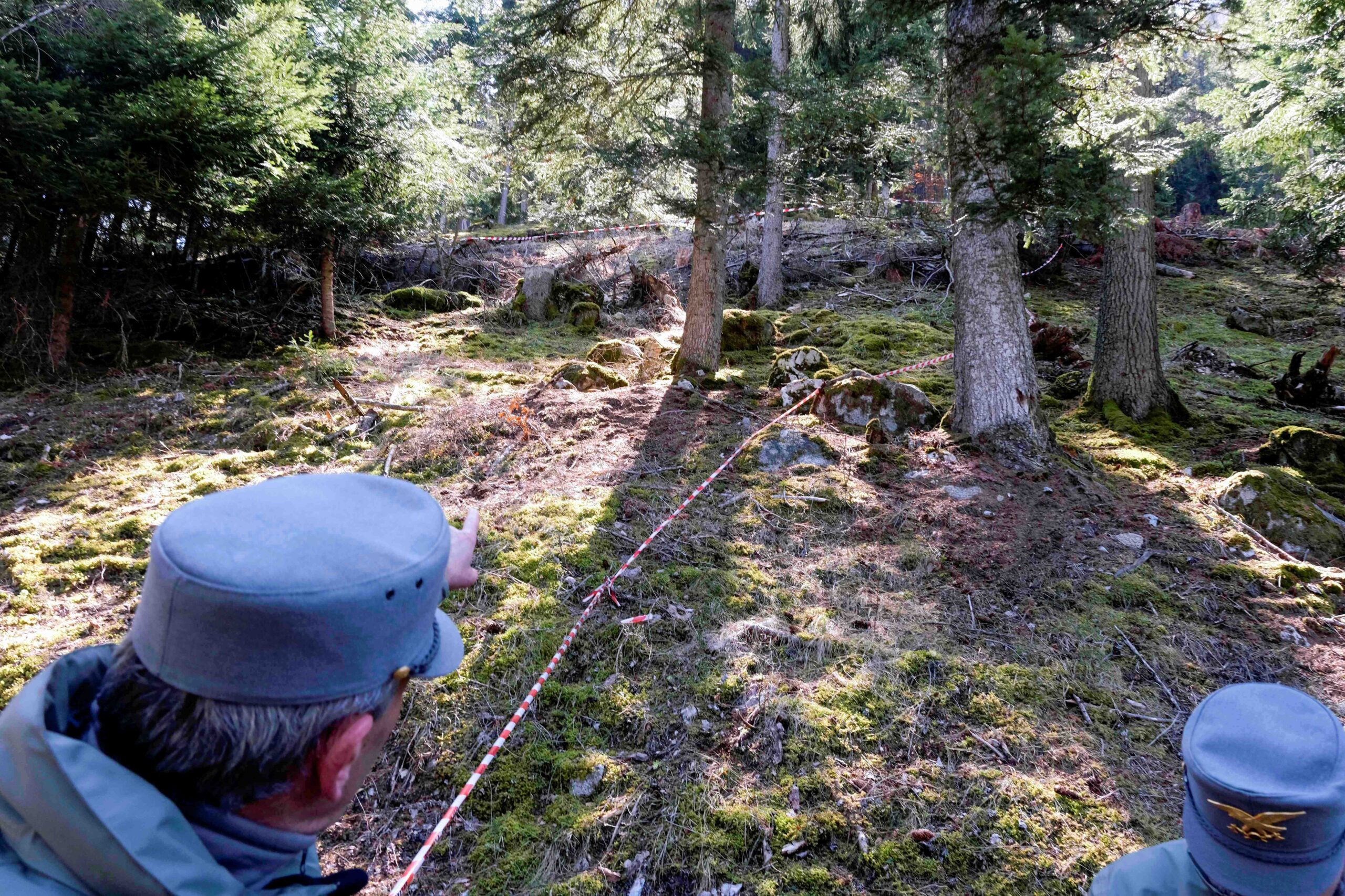 Morte di Andrea Papi: Enpa, Leidaa e Oipa depositano un nuovo ricorso ...