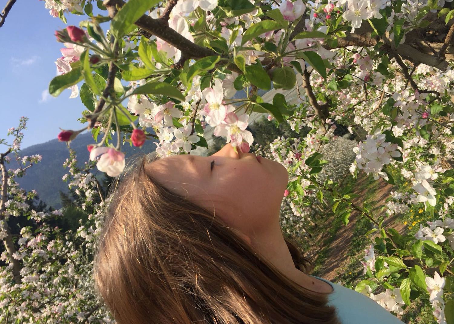 Aprile dolce fiorire… a spasso nei frutteti