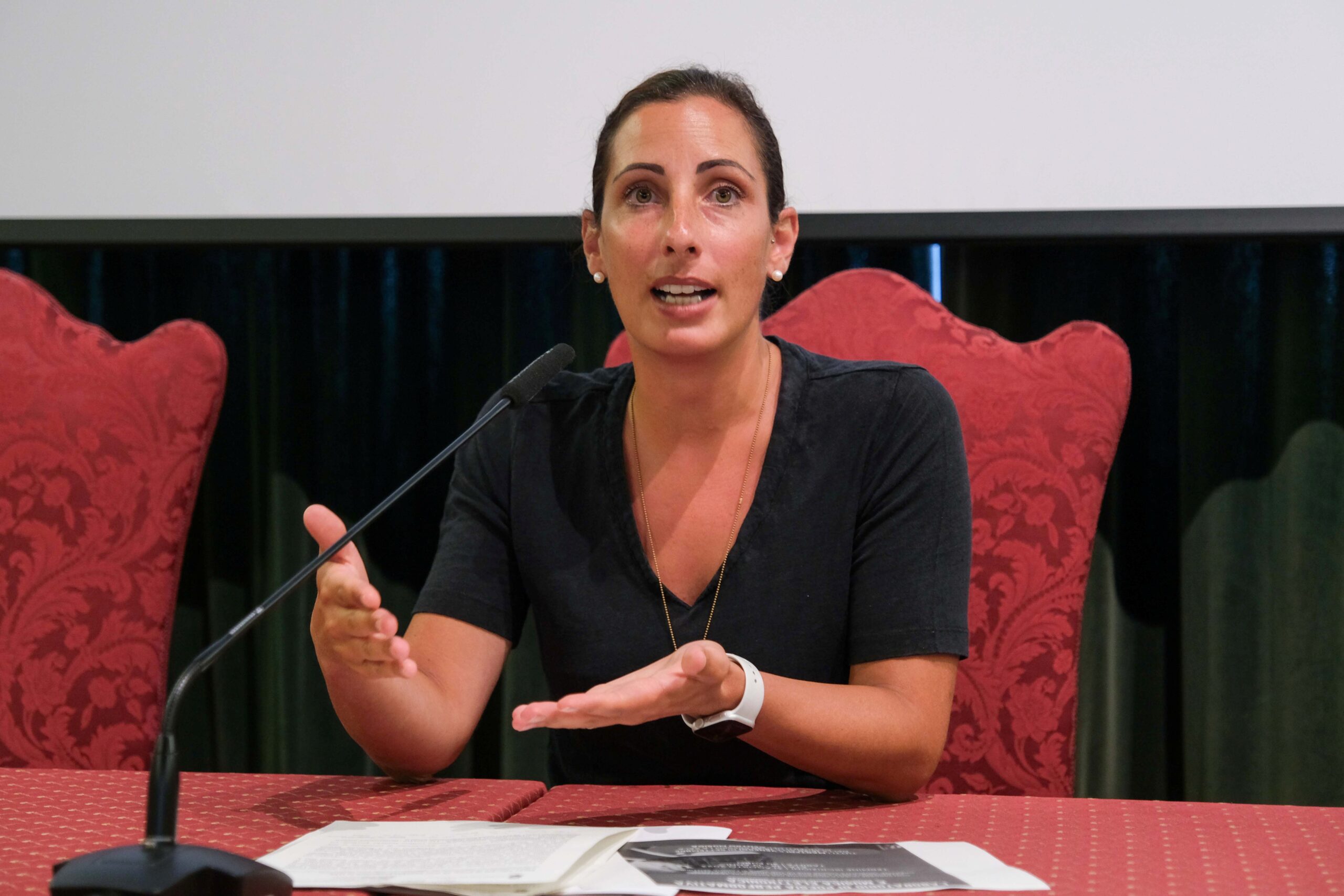 Poplar, Bozzarelli risponde alle critiche: «Da Merler solo menzogne ...