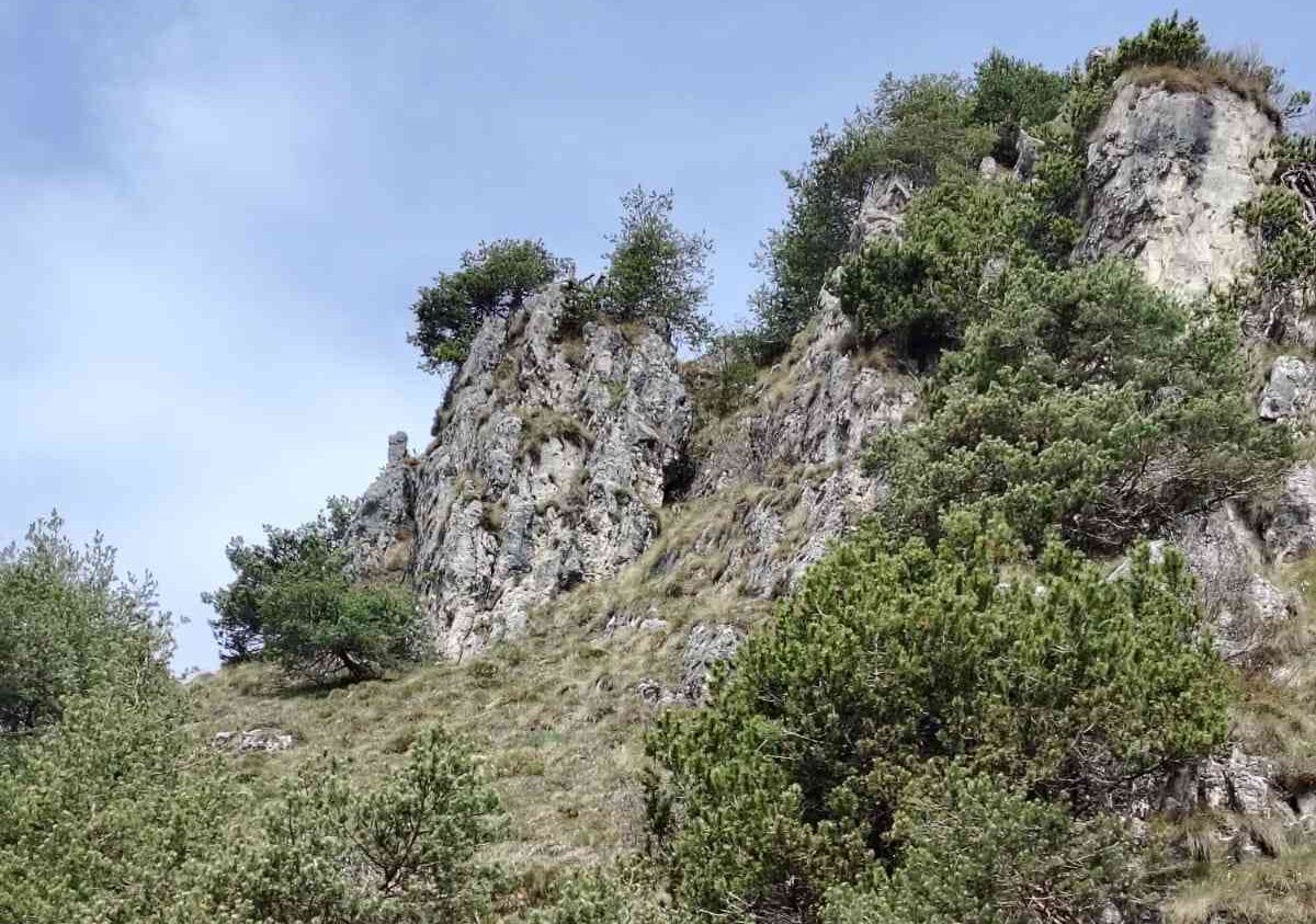 Tre Ville, scivola nel bosco e ruzzola per 200 metri: morto cacciatore ...