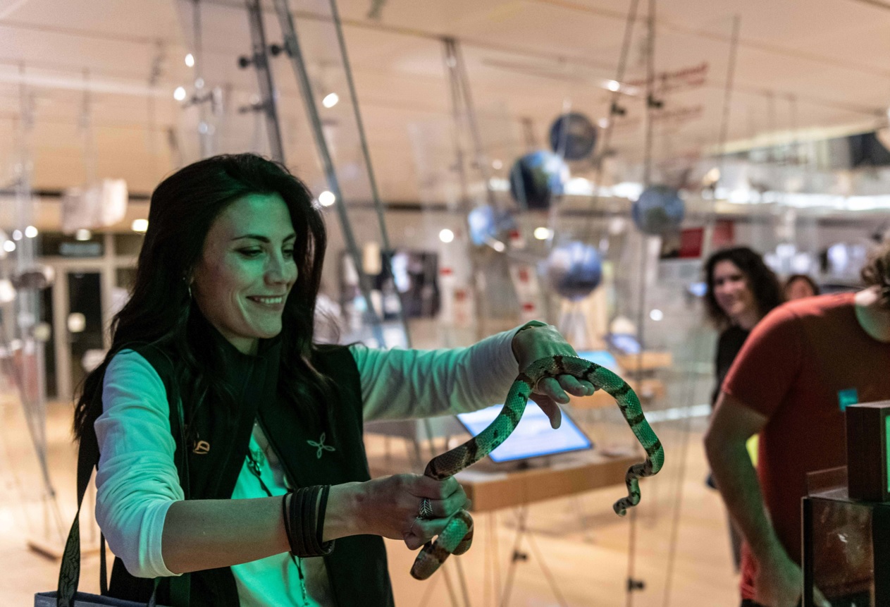 Halloween al Muse: dalle 20 alle 9 una notte infestata da fantasmi e ...