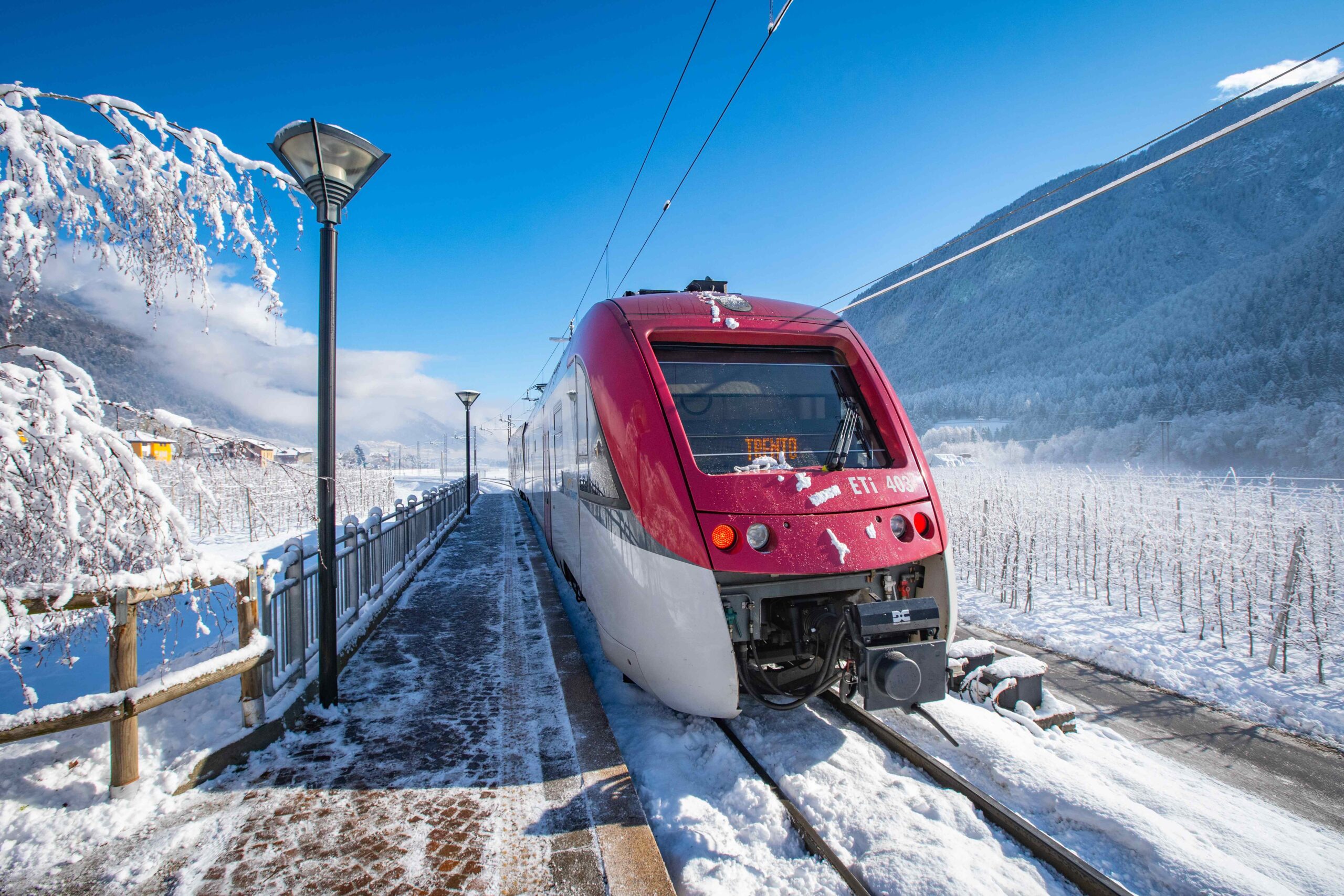 Quest’anno la magia del Natale sale sul treno: in Trentino arriva il ...